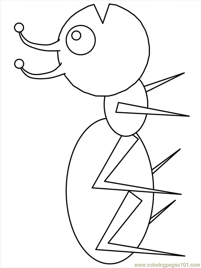 Printable Insect Ant Template Coloring Page Life Cycle Of An Ant