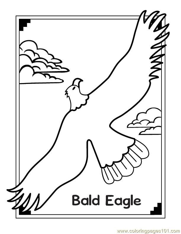 Pacific northwest bird coloring pages