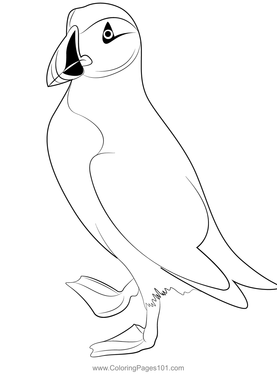 Arctic Puffin Bird Coloring Page for Kids - Free Auks Printable ...