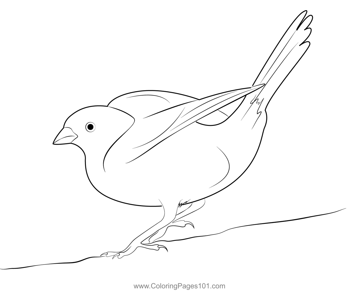 Wing Fly Yellowhammer Coloring Page for Kids - Free Buntings Printable ...