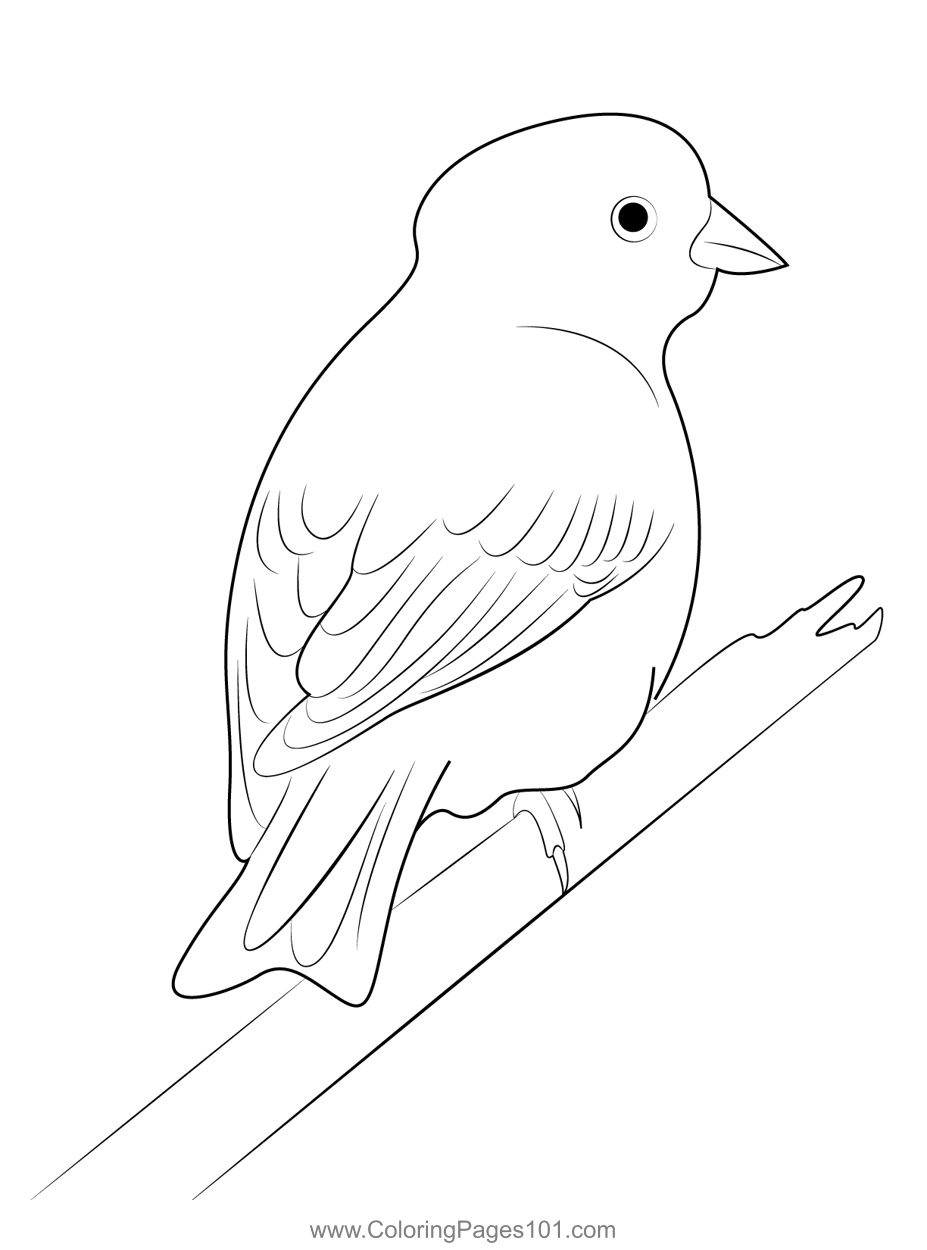 Yellowhammer On The Branch Coloring Page for Kids - Free Buntings ...