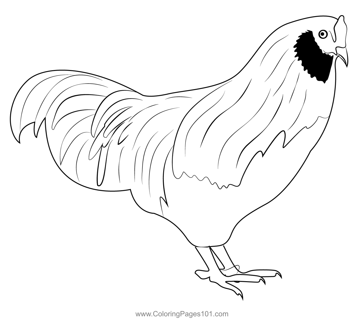 Black Chicken Coloring Page for Kids - Free Chickens Printable Coloring ...