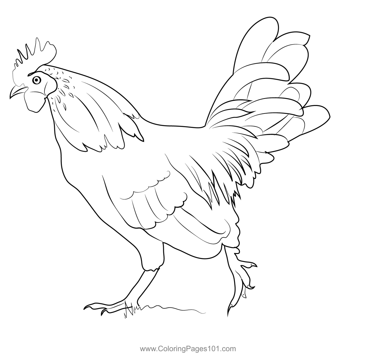 Run Chicken Coloring Page For Kids Free Chickens Printable Coloring Run Chicken Coloring Page For Kids Free Chickens Printable Coloring