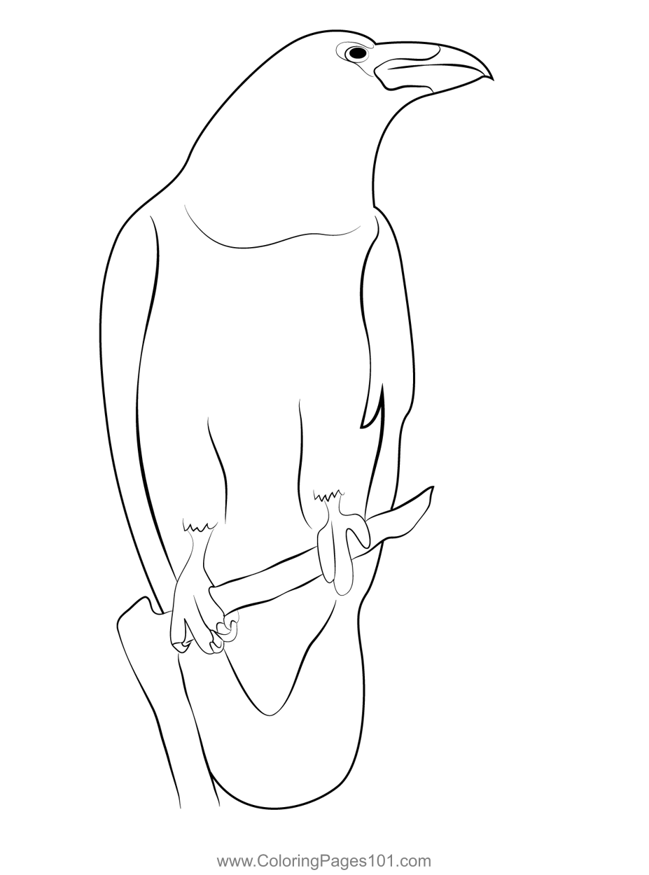 Black Raven Bird Coloring Page for Kids - Free Crows Printable Coloring ...