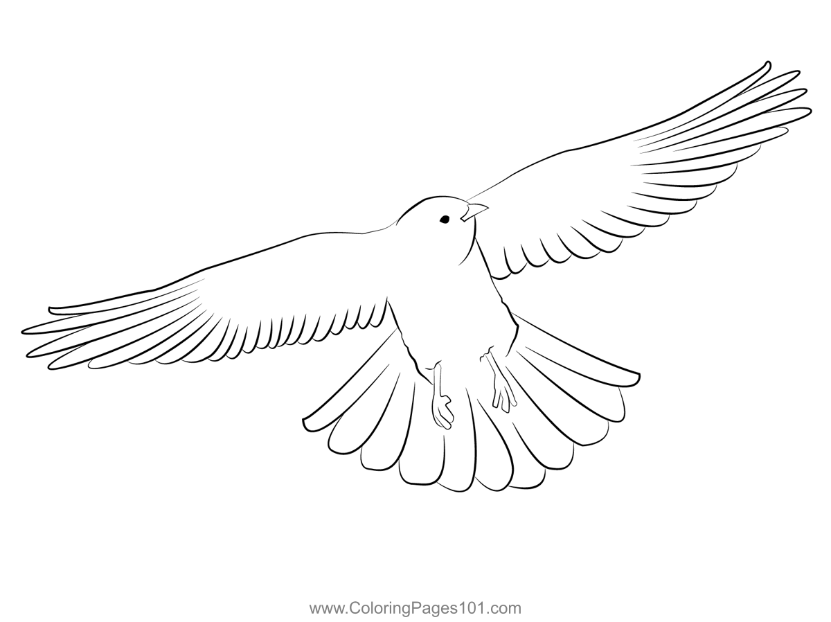 Chough 2 Coloring Page for Kids - Free Crows Printable Coloring Pages ...