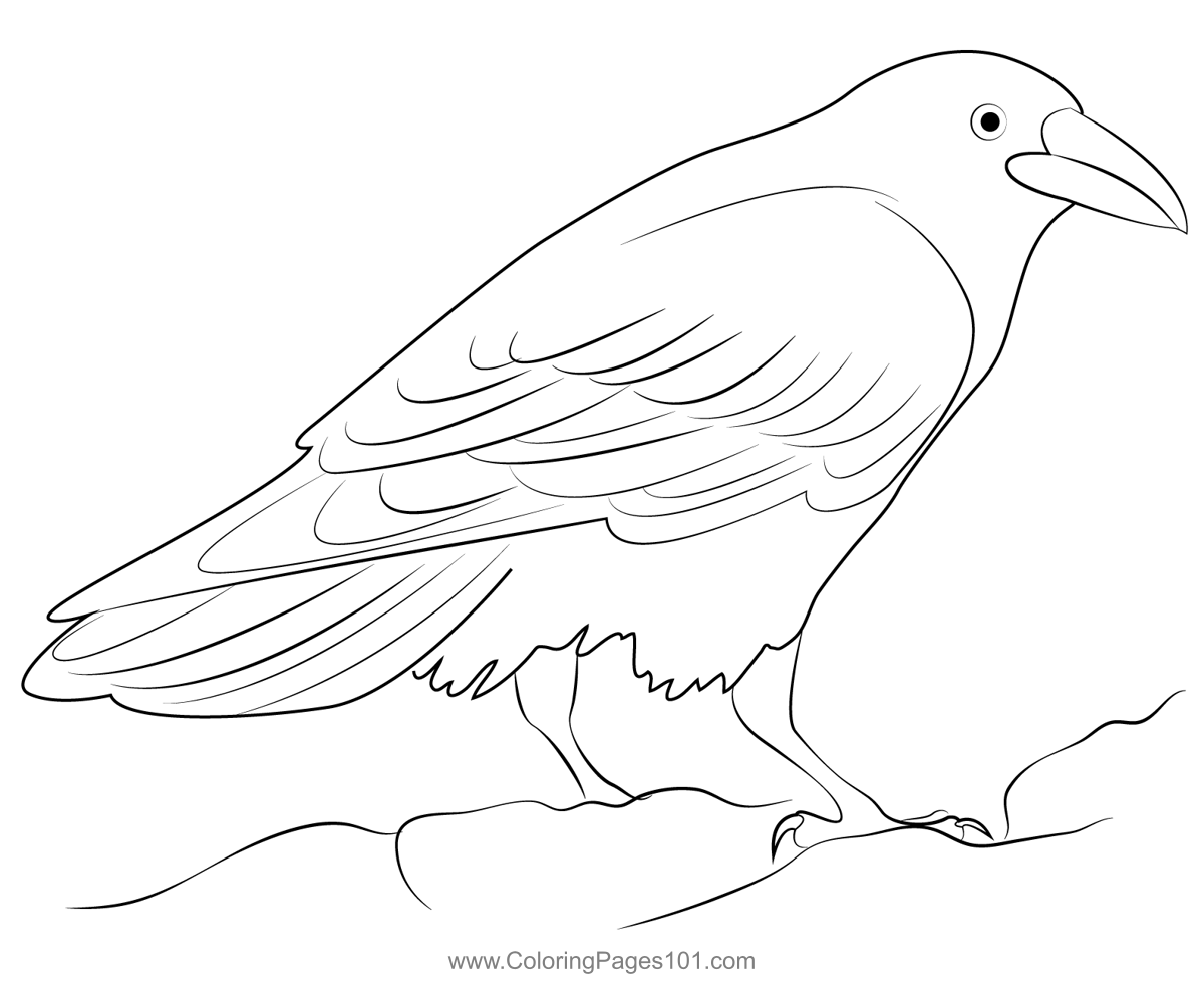 Raven Bird 4 Coloring Page for Kids - Free Crows Printable Coloring ...