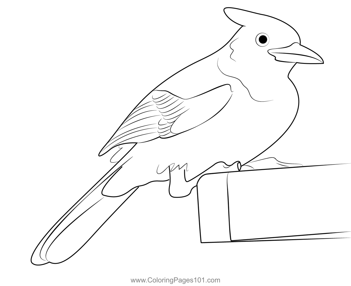 Steller's Jay In Garden Coloring Page for Kids - Free Crows Printable ...