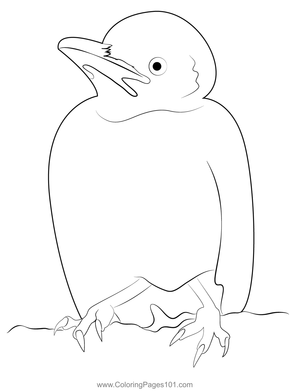 Young Raven Coloring Page for Kids - Free Crows Printable Coloring ...