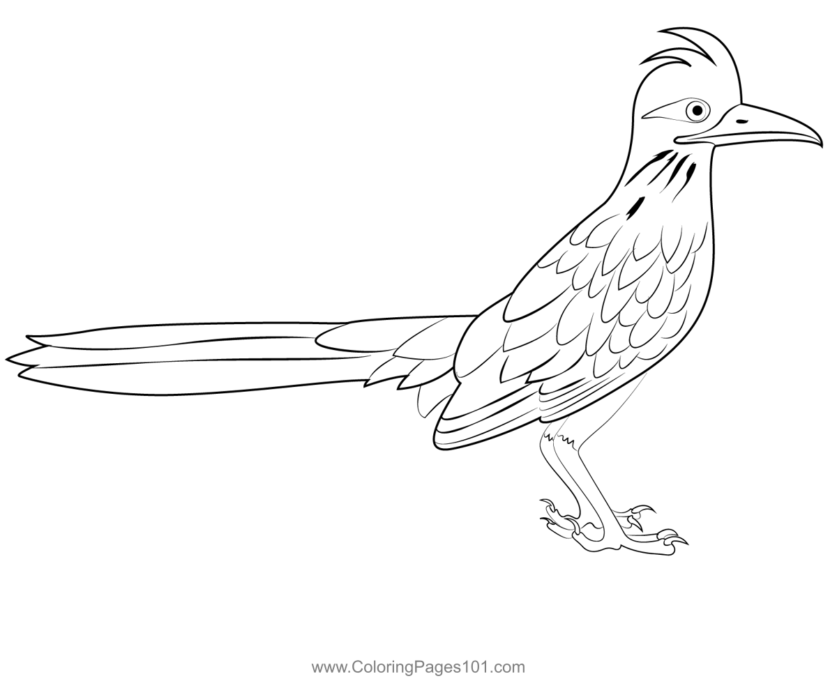 Aged Road Runner Coloring Page for Kids - Free Cuckoos Printable ...