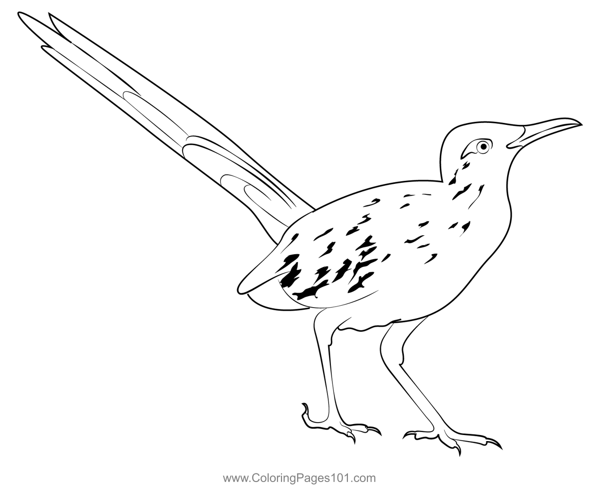 Road Runner 3 Coloring Page for Kids - Free Cuckoos Printable Coloring ...