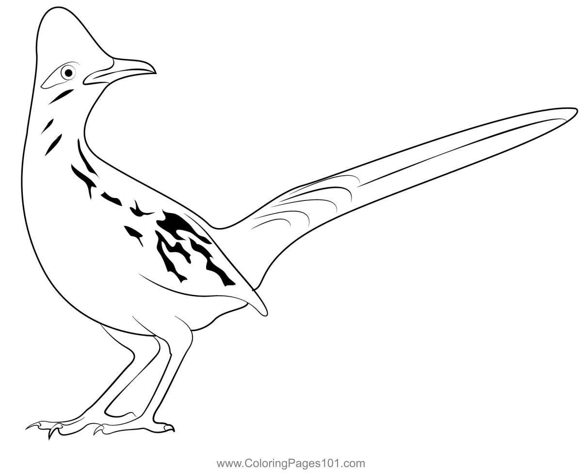 Road Runner 5 Coloring Page for Kids - Free Cuckoos Printable Coloring ...