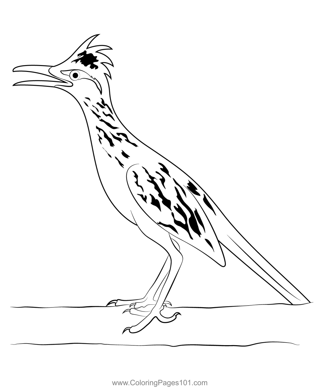 Road Runner 7 Coloring Page for Kids - Free Cuckoos Printable Coloring ...