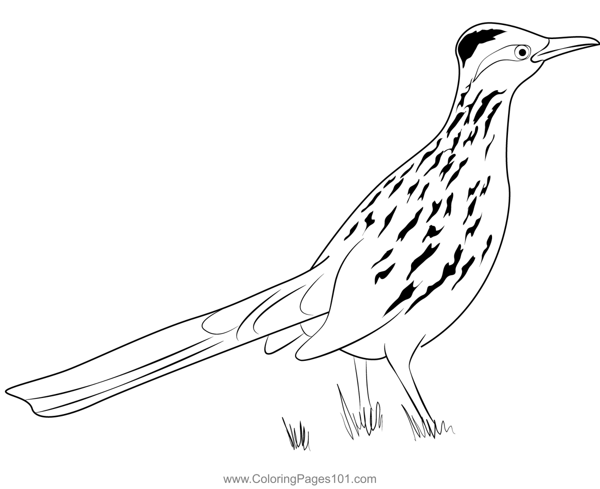 Road Runner 8 Coloring Page for Kids - Free Cuckoos Printable Coloring ...