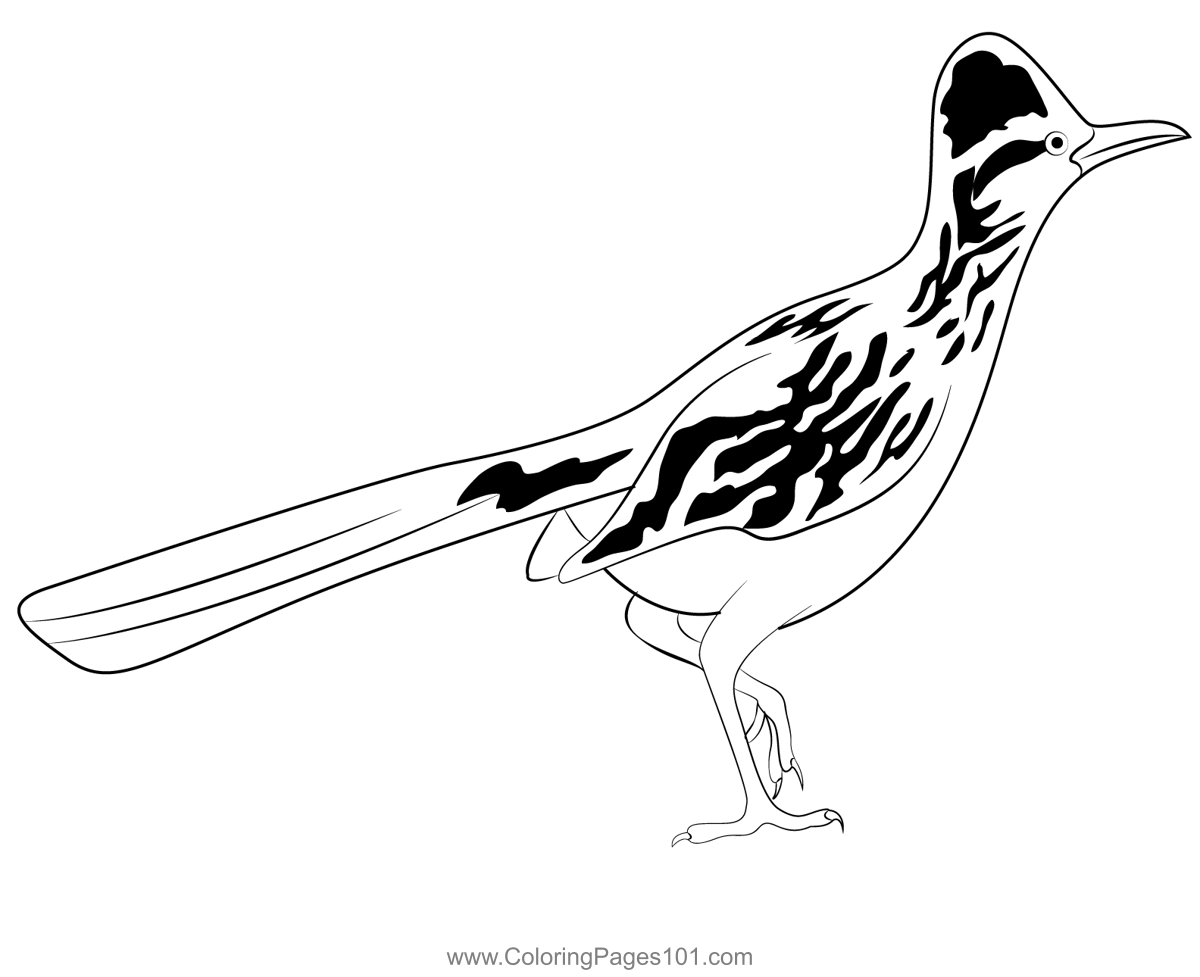 Road Runner 9 Coloring Page for Kids - Free Cuckoos Printable Coloring ...