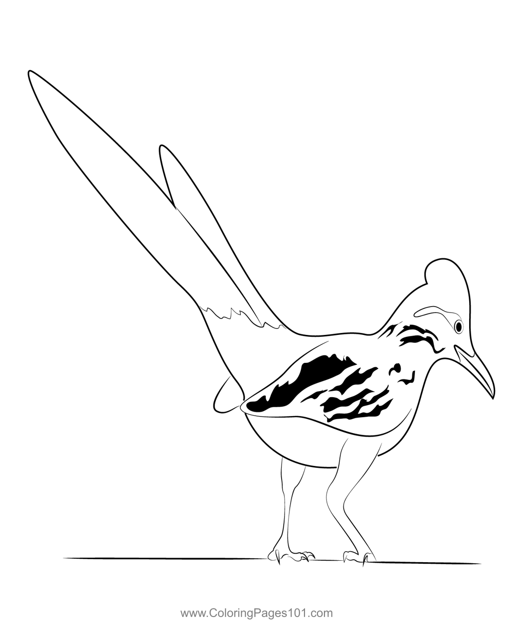 Road Runner Coloring Page for Kids - Free Cuckoos Printable Coloring ...