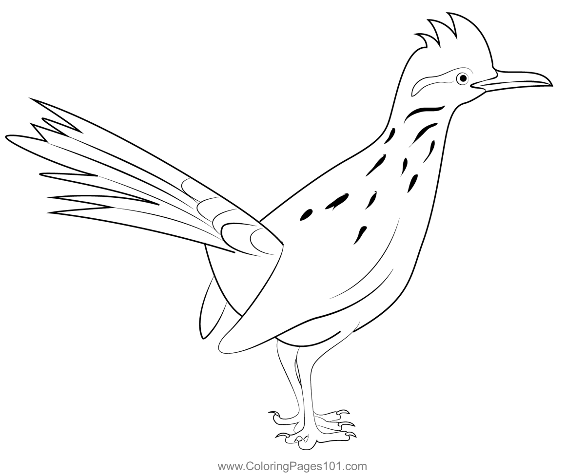 Roadrunner Greater Coloring Page for Kids - Free Cuckoos Printable ...