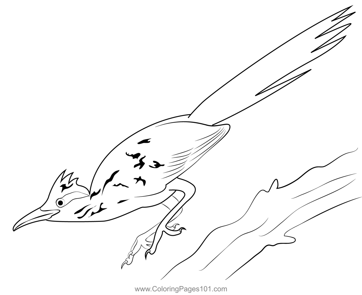 Roadrunner Jump Coloring Page for Kids - Free Cuckoos Printable ...