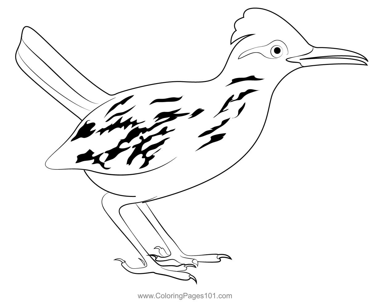 The Roadrunner Coloring Page for Kids - Free Cuckoos Printable Coloring ...