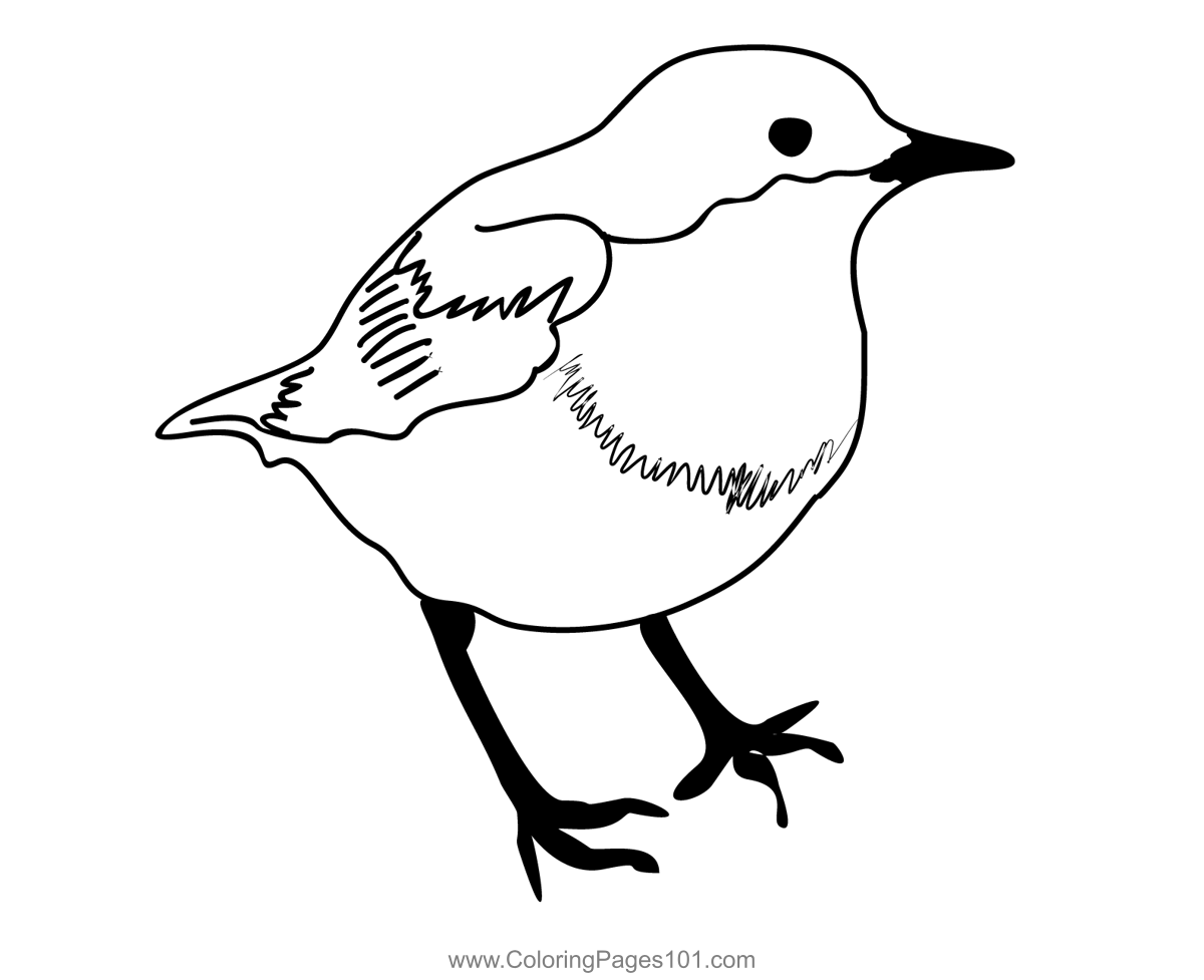 Dipper 1 Coloring Page for Kids - Free Dippers Printable Coloring Pages ...