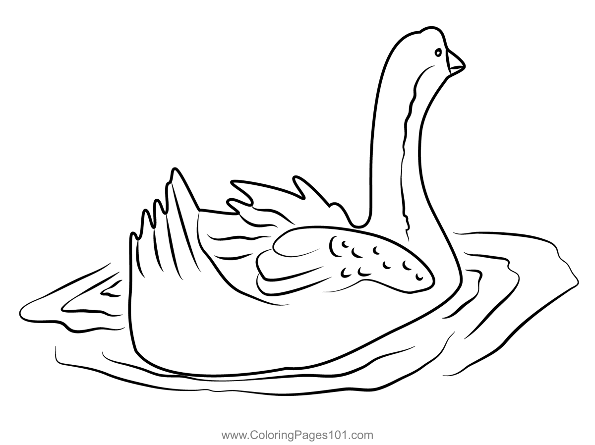 Duck In Water Coloring Page for Kids - Free Ducks Printable Coloring ...