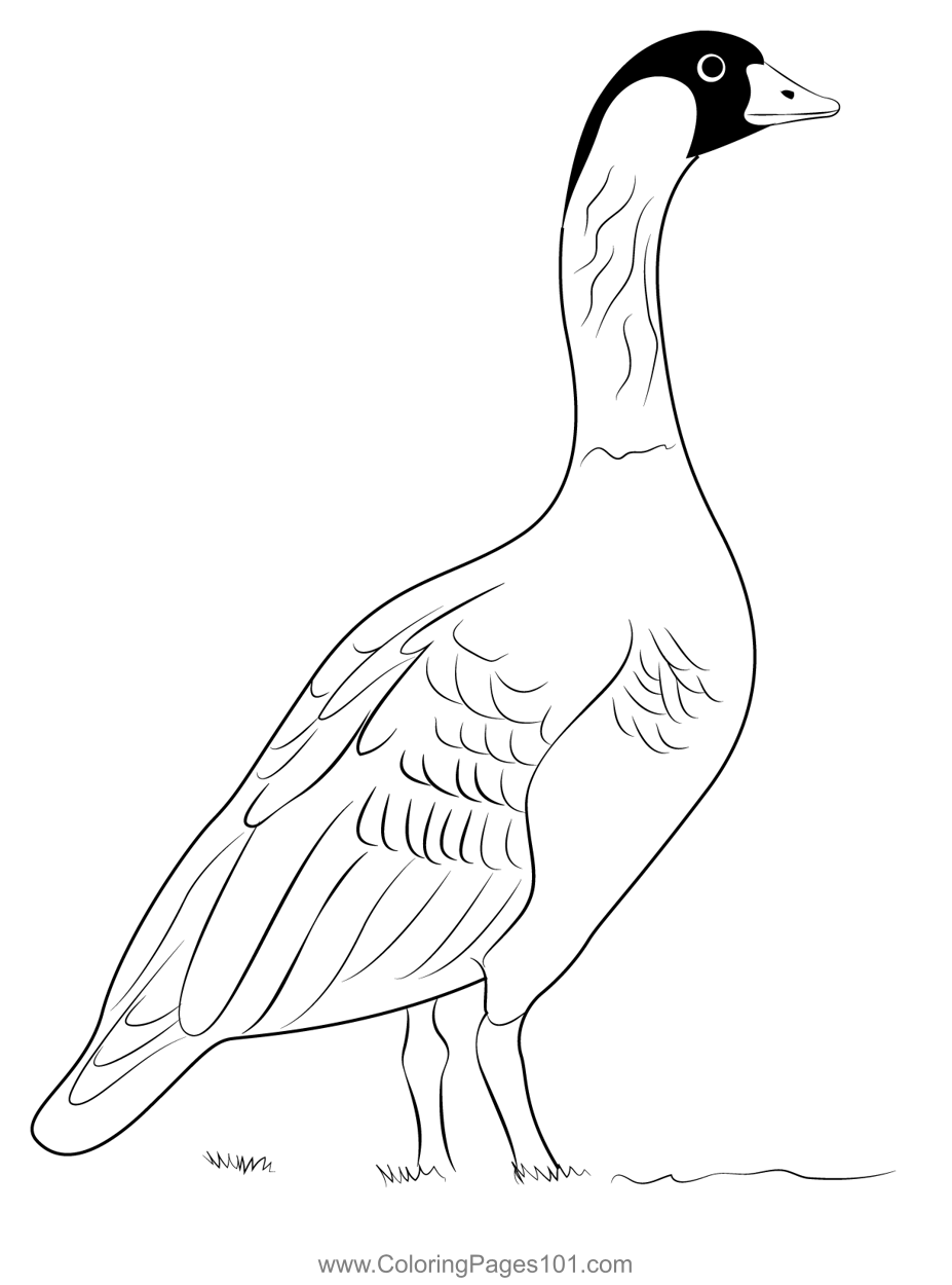 Nene Bird Coloring Page for Kids - Free Ducks Printable Coloring Pages ...