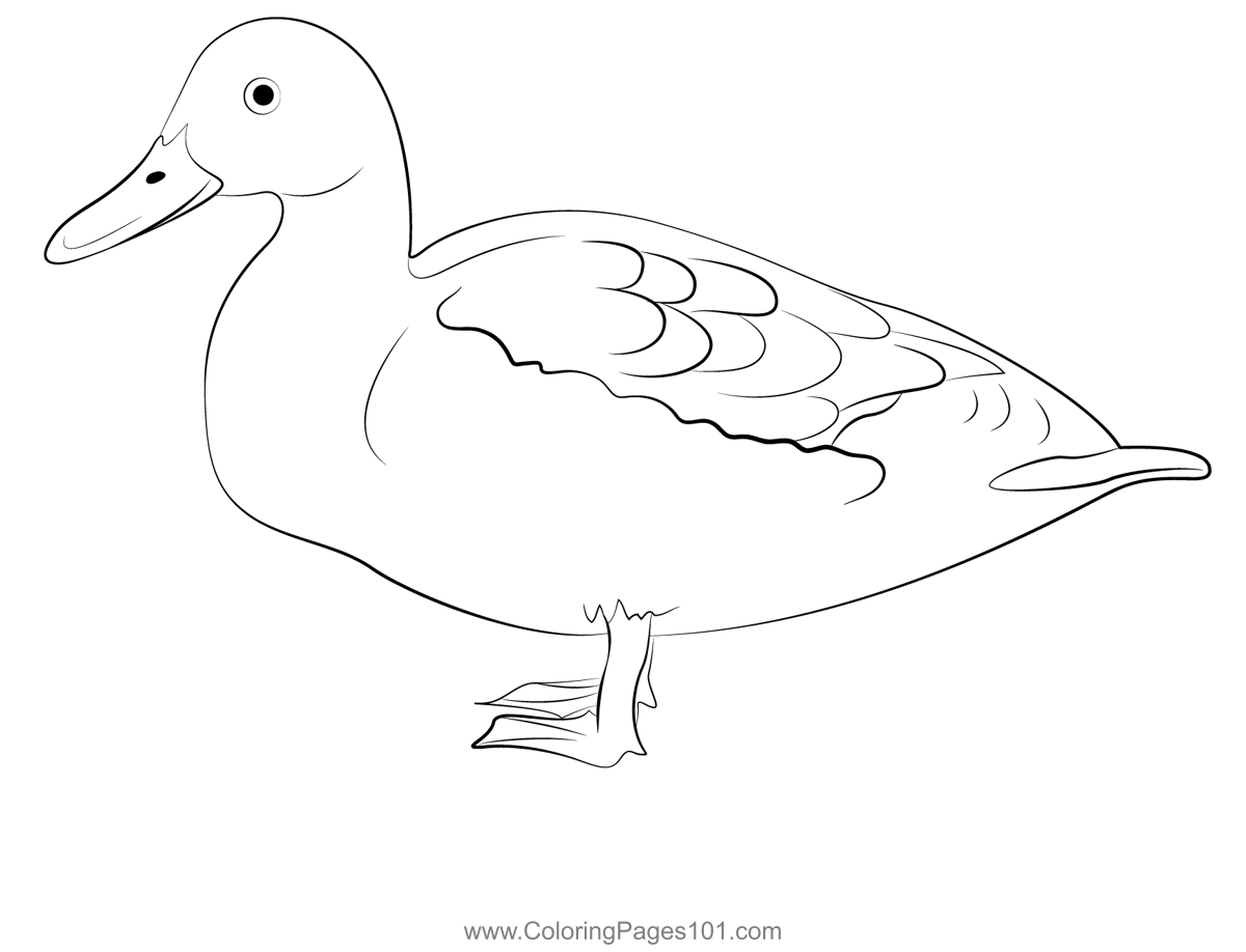 Stand Duck Coloring Page for Kids - Free Ducks Printable Coloring Pages ...