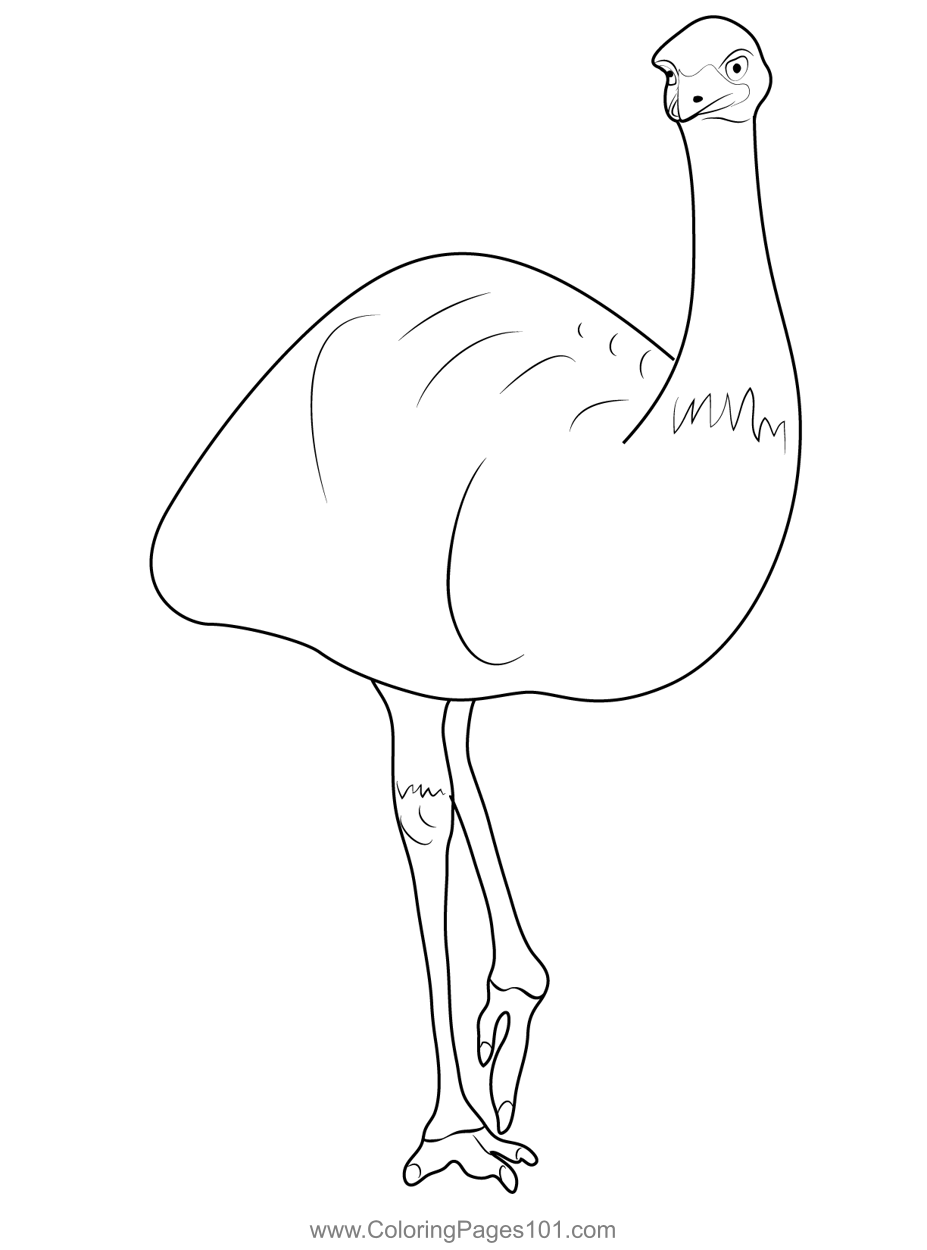 Male Emu Bird Coloring Page for Kids - Free Emus Printable Coloring ...
