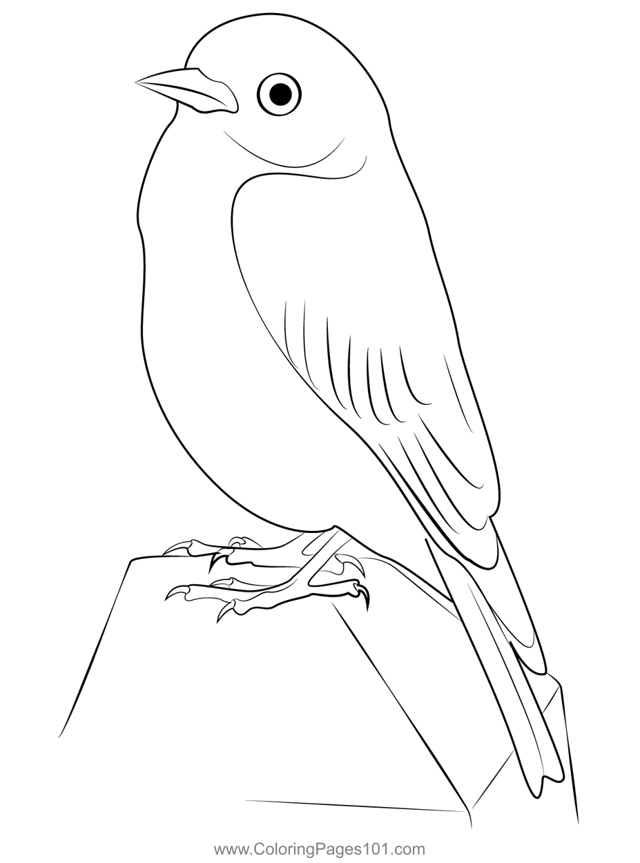 Blue Bird Coloring Pages To Print