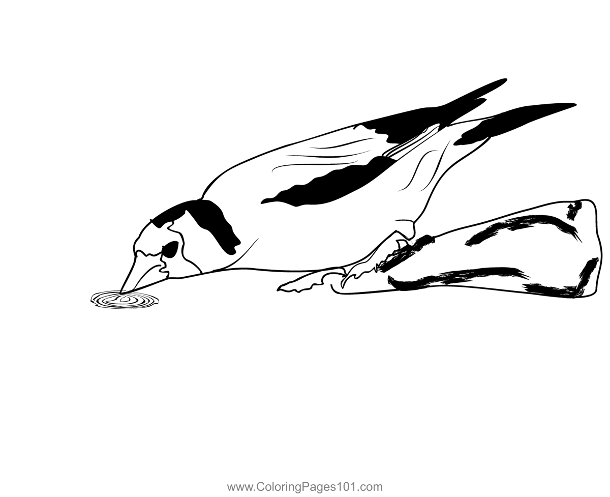 Goldfinch 2 Coloring Page for Kids - Free Finches Printable Coloring ...