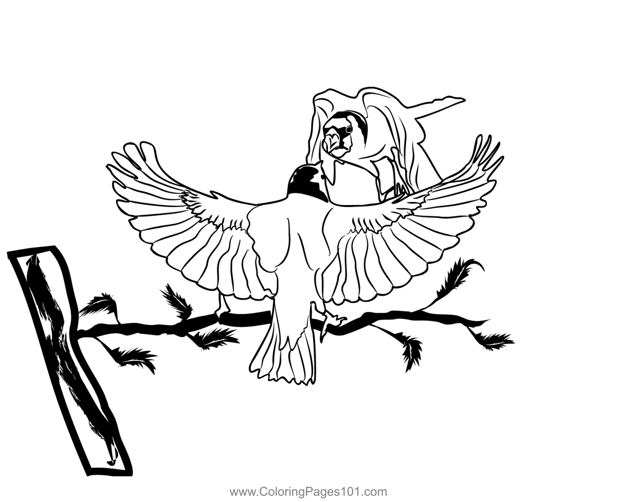 Goldfinch Bird Coloring Page