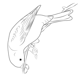 Beak Coloring Pages for Kids - Download Beak printable coloring pages ...