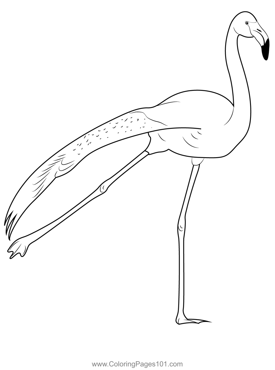 Flamingo Bird Dance Coloring Page for Kids - Free Flamingos Printable ...