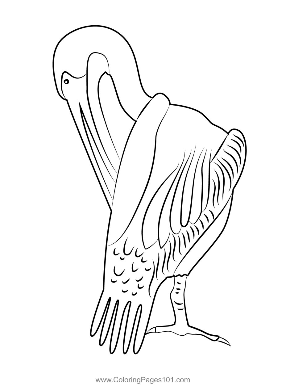 Flamingo Bird Scratch Himself Coloring Page for Kids - Free Flamingos ...