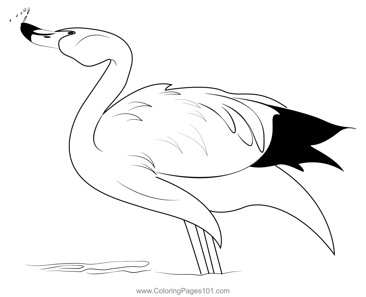 Flamingo Taking A Bath Coloring Page for Kids - Free Flamingos ...