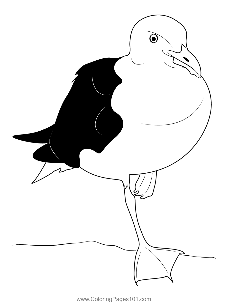Close Up Seagull On 1 Leg Coloring Page for Kids - Free Gulls Printable ...