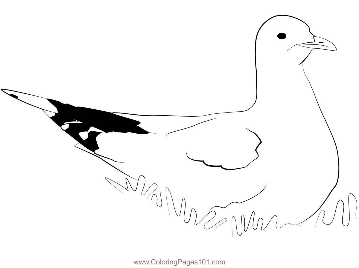 Common Gull 2 Coloring Page for Kids - Free Gulls Printable Coloring ...