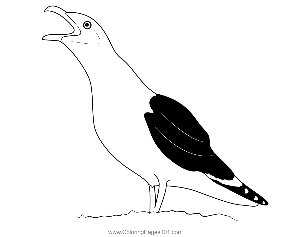 Great Black Gull Coloring Page for Kids - Free Gulls Printable Coloring ...