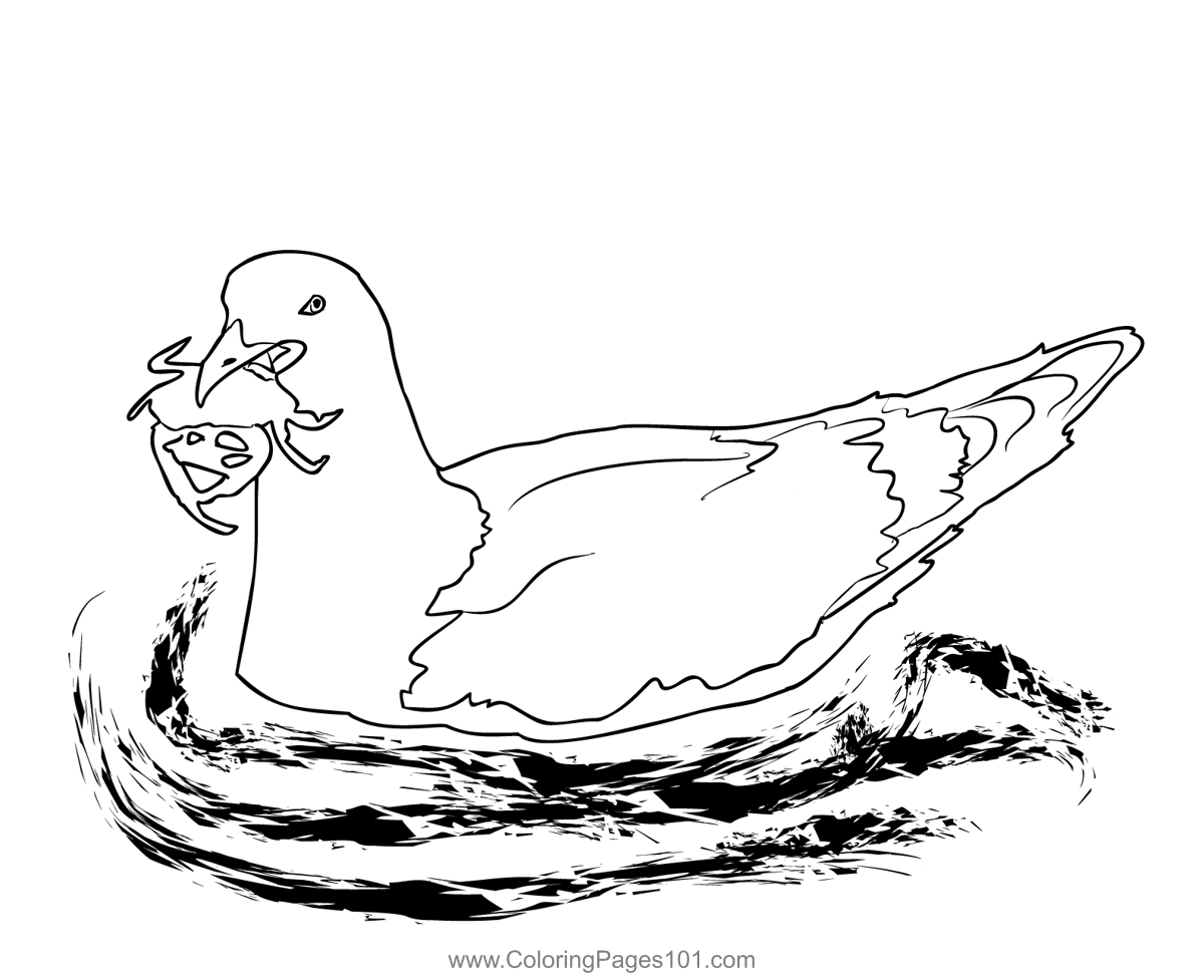 Great Black backed Gull 3 Coloring Page for Kids - Free Gulls Printable ...