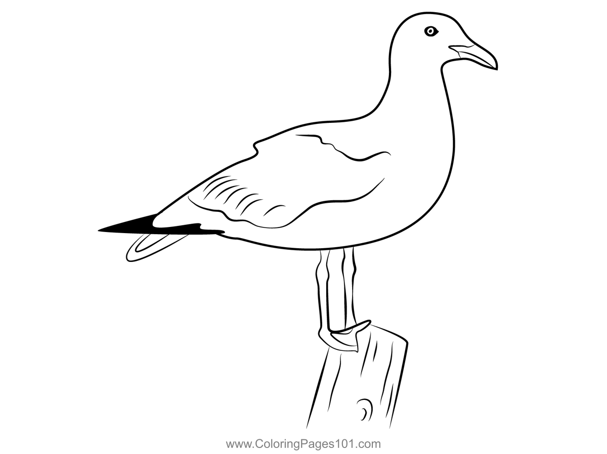 Seagull Standing On Log Coloring Page for Kids - Free Gulls Printable ...