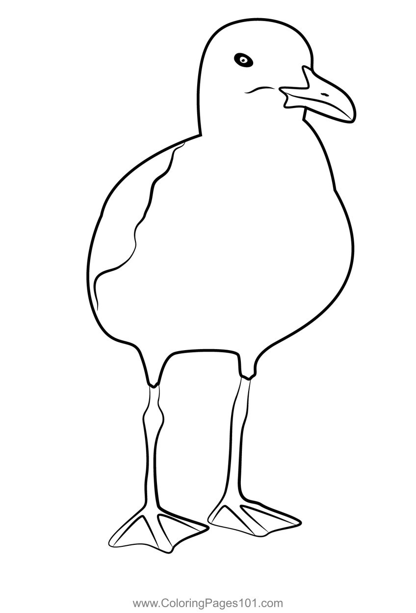 Standing Gull Coloring Page for Kids - Free Gulls Printable Coloring ...