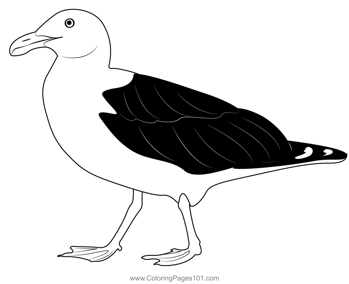 West Side California Seagull Coloring Page for Kids - Free Gulls ...