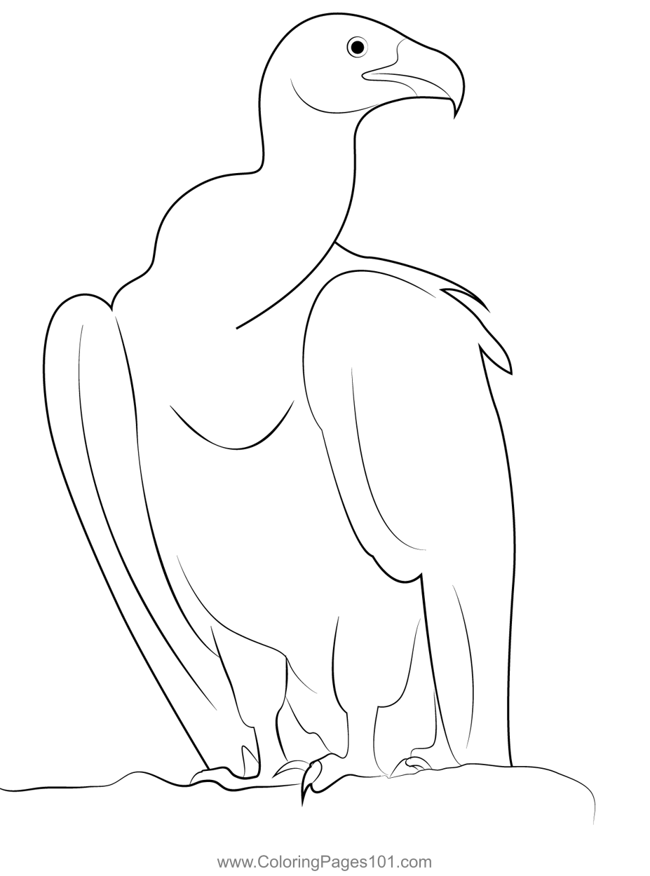 Rest Vulture Bird Coloring Page for Kids - Free Hawks and Eagles ...