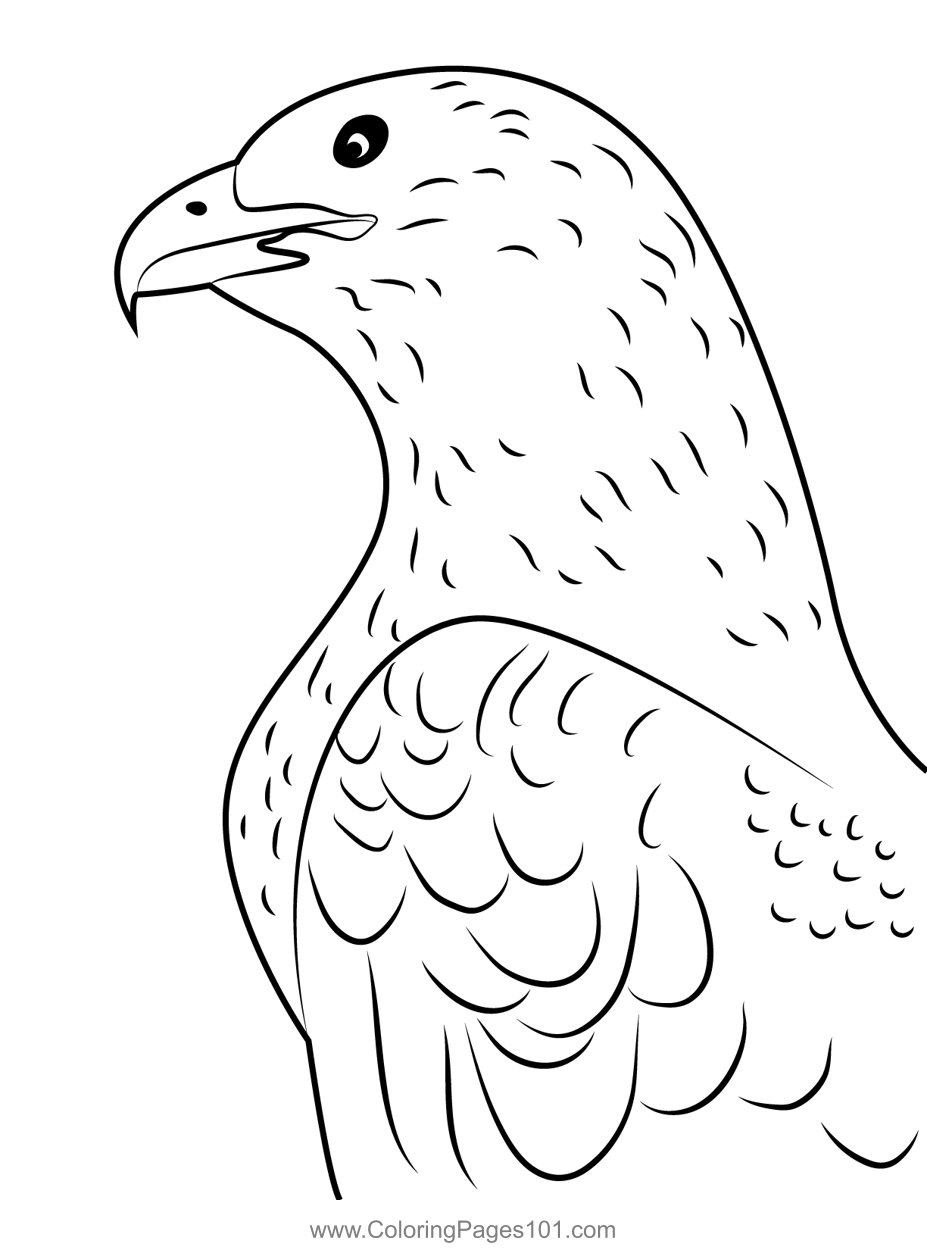 Side View Of Eagle Coloring Page for Kids - Free Hawks and Eagles ...