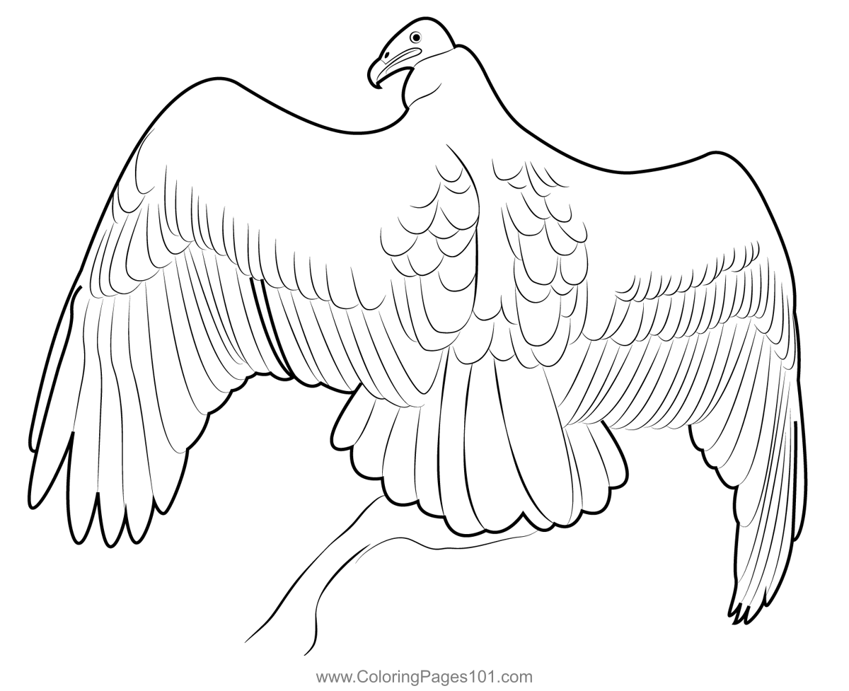 Turley Vulture Sunbathing Coloring Page for Kids - Free Hawks and ...