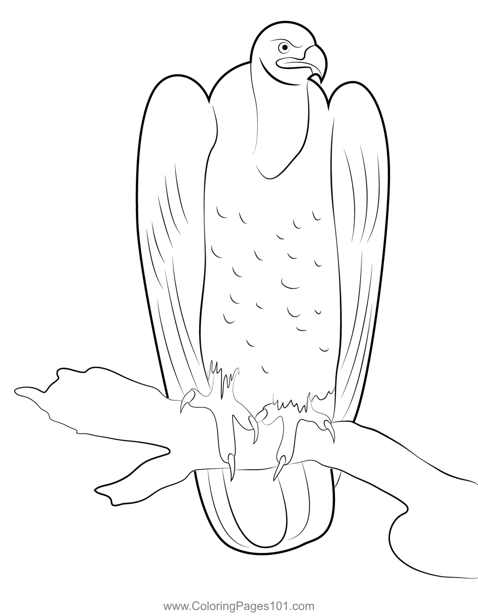 Vulture 2 Coloring Page for Kids - Free Hawks and Eagles Printable ...