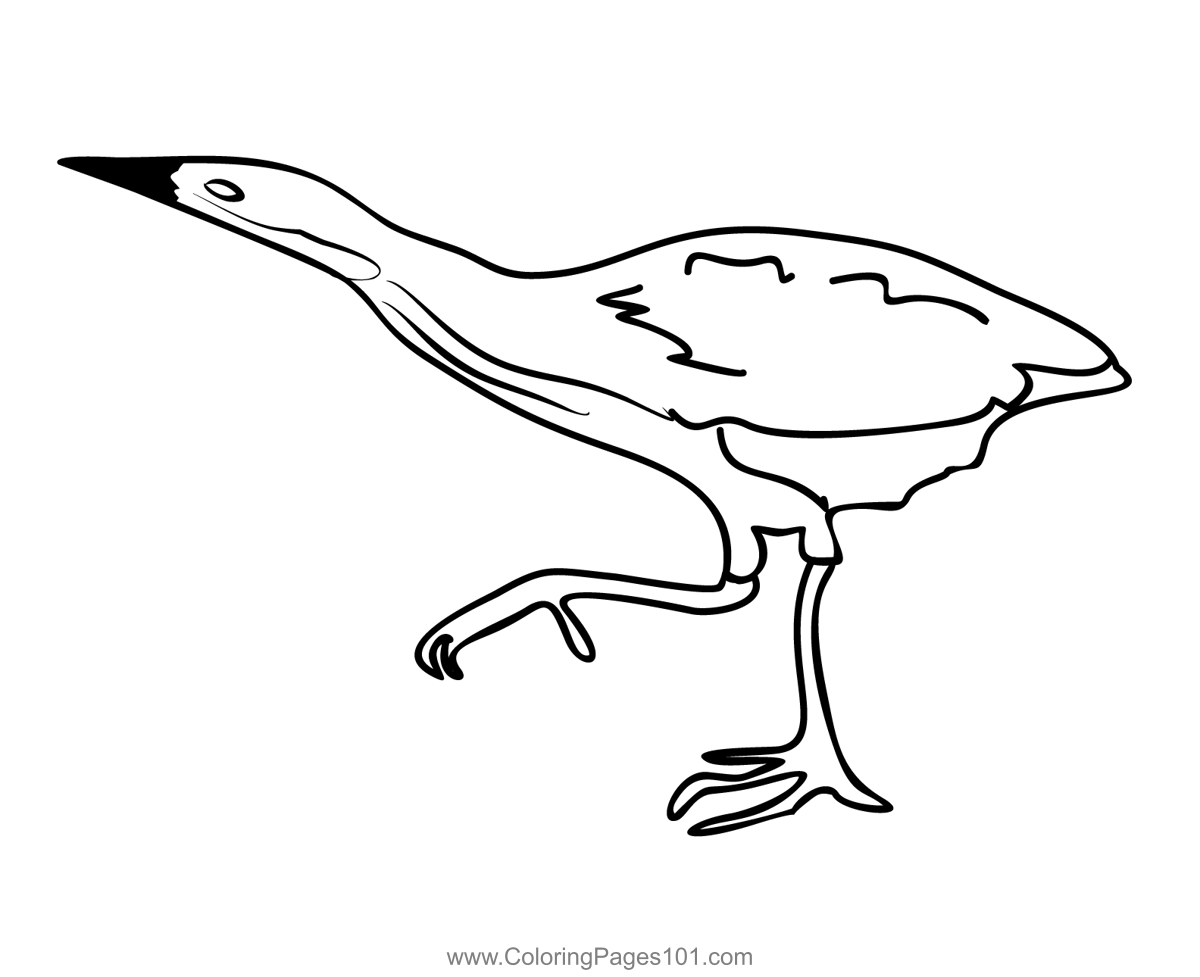 Bittern 1 Coloring Page for Kids - Free Herons Printable Coloring Pages ...