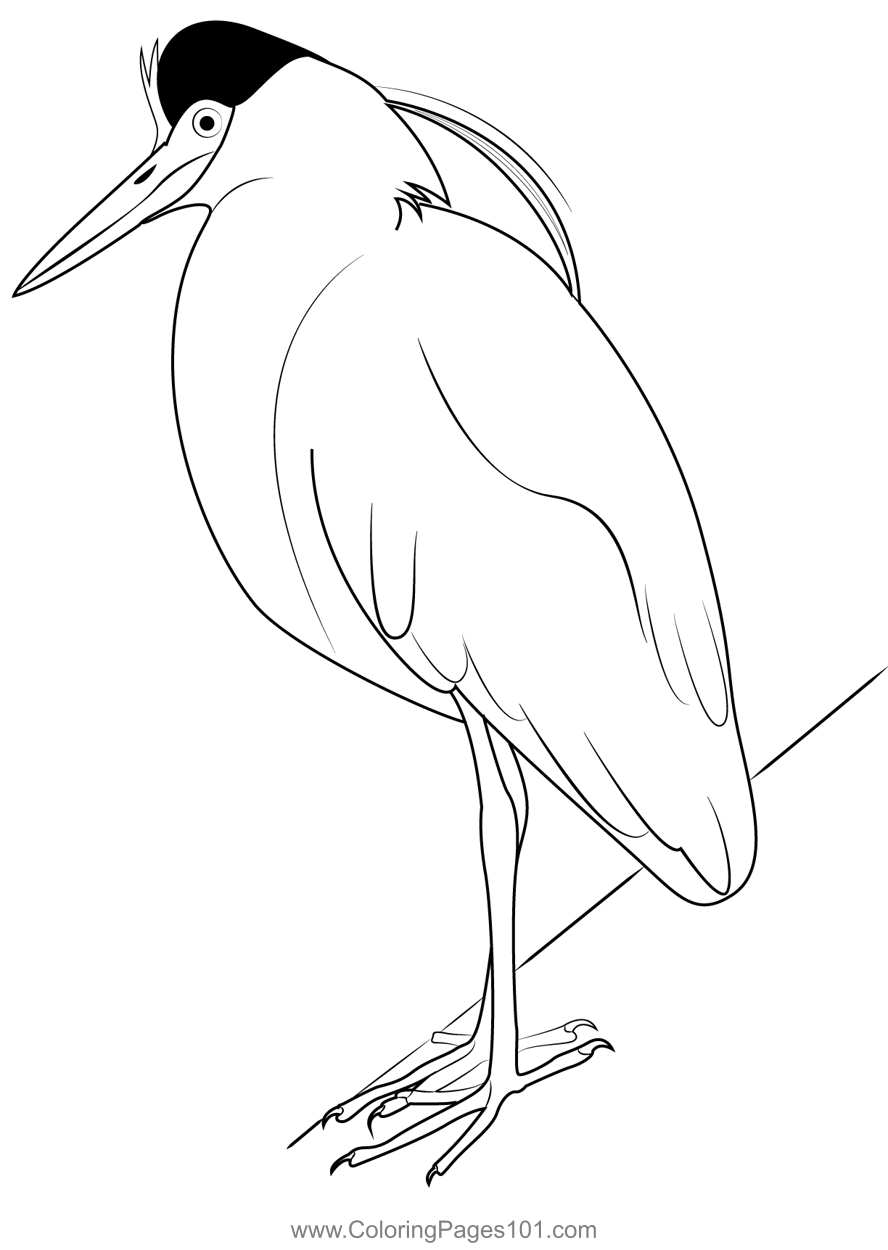 Capped Heron Coloring Page for Kids - Free Herons Printable Coloring ...