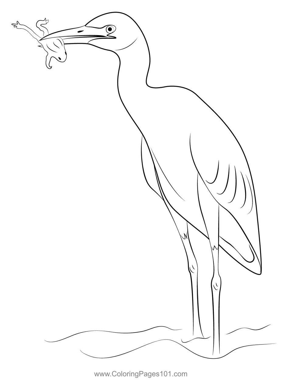 Heron 1 Coloring Page for Kids - Free Herons Printable Coloring Pages ...
