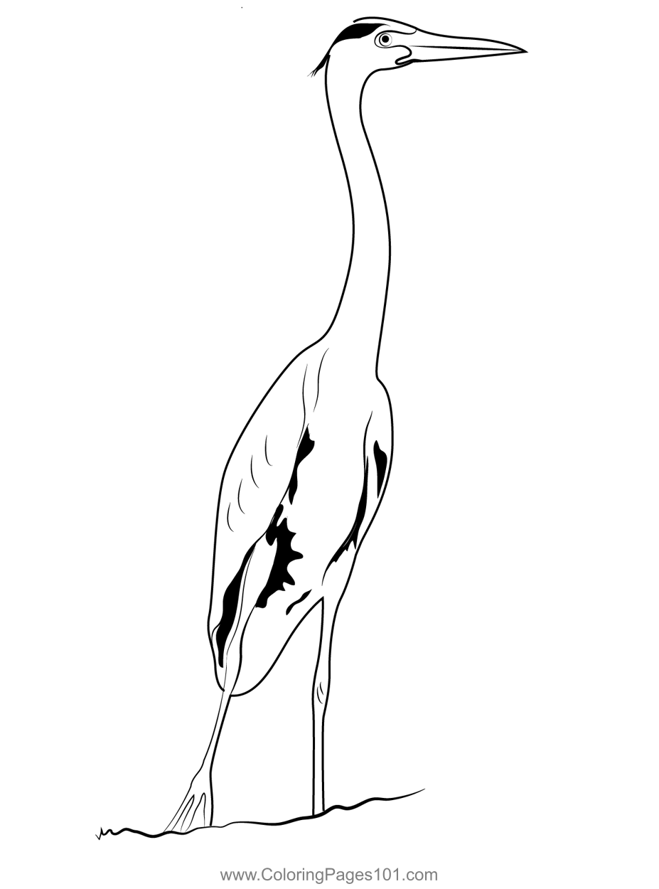 Heron 2 Coloring Page for Kids - Free Herons Printable Coloring Pages ...