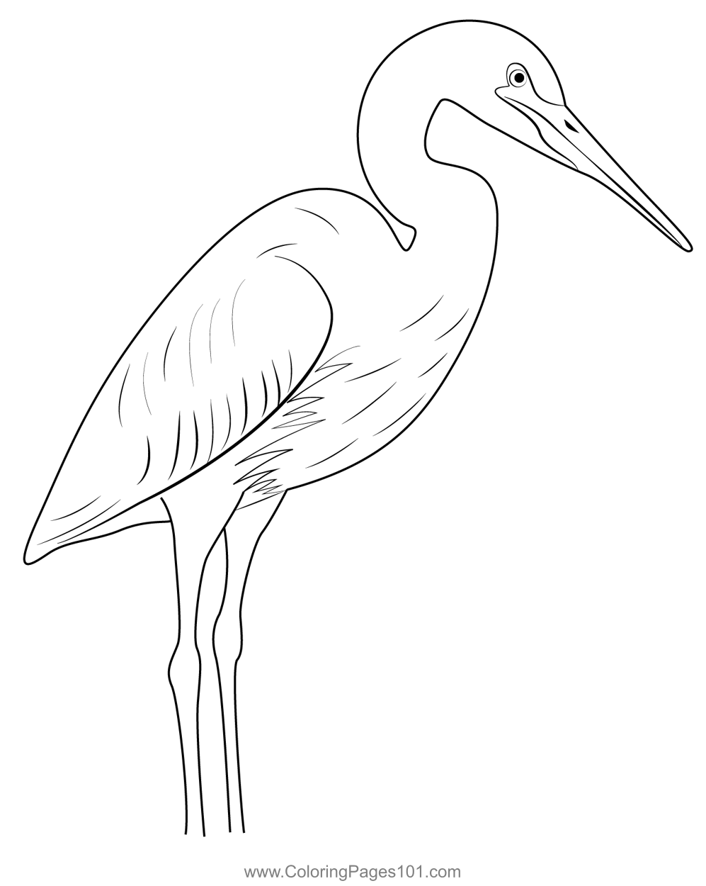 Free Heron Coloring Pages Sketch Coloring Page